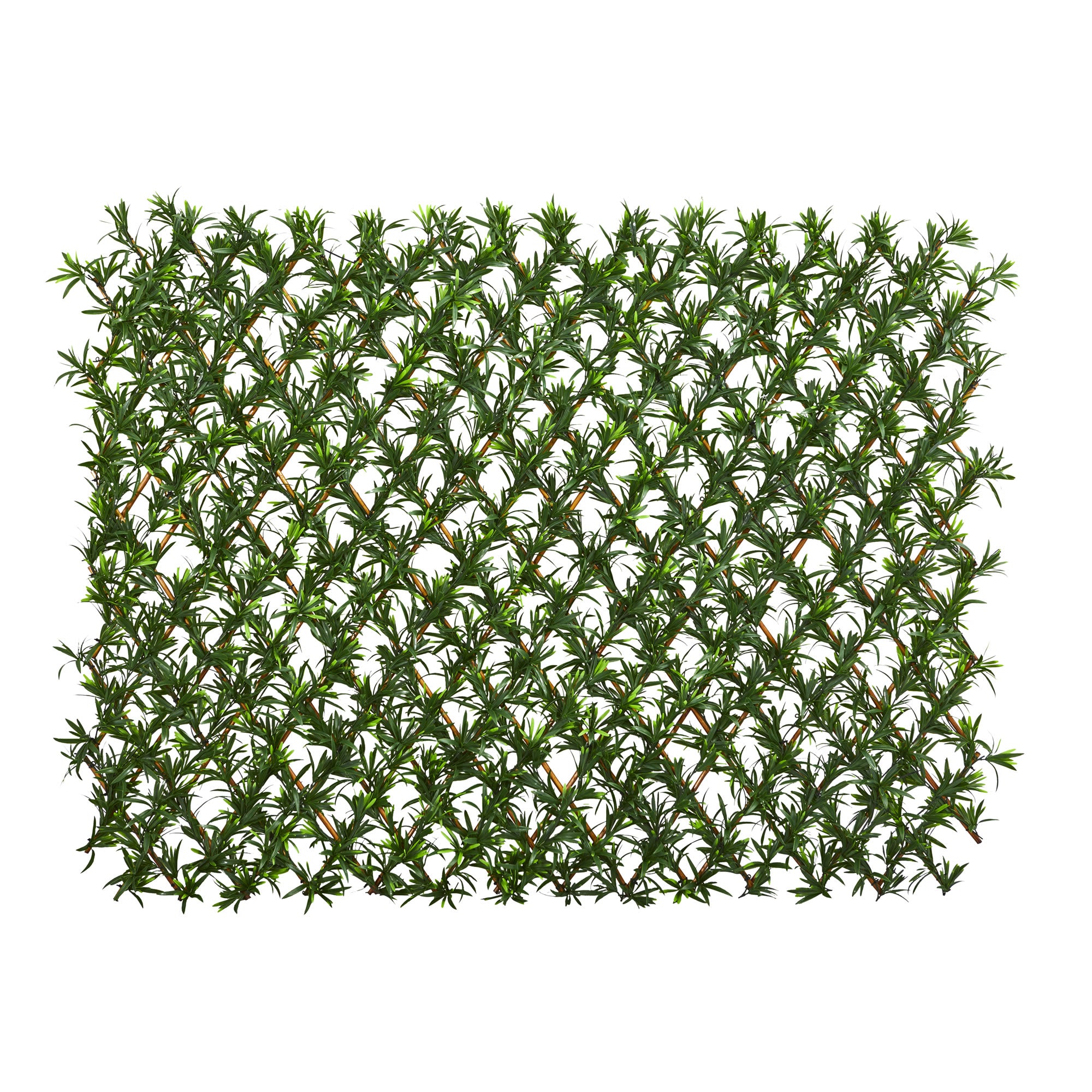 39" Podocarpus Expandable Fence UV Resistant & Waterproof – Home ...