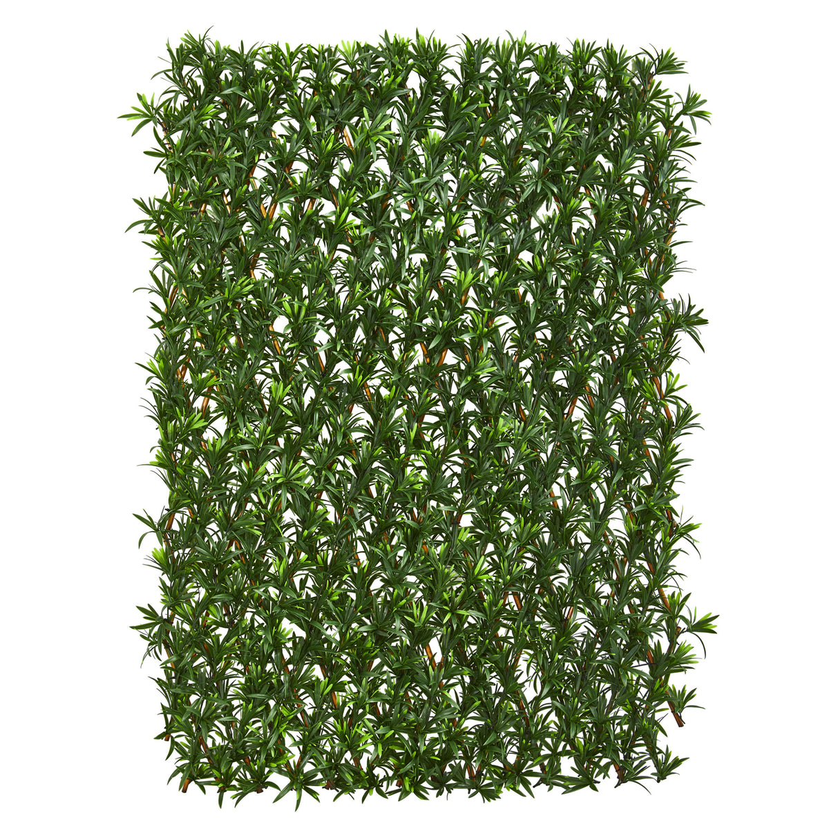 39" Podocarpus Expandable Fence UV Resistant & Waterproof – Home ...